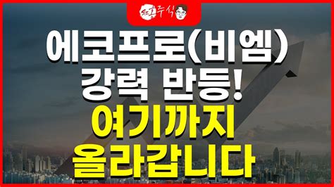 에코프로비엠 강력 반등 여기까지 올라갑니다 Youtube