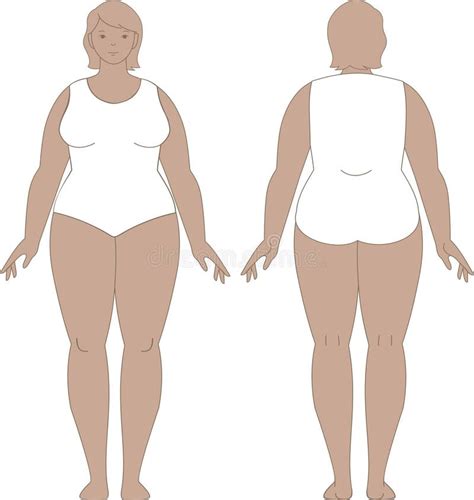 Plus Size Female Body Type Woman Figure And Shape Stock Vector Illustration Of Model Body