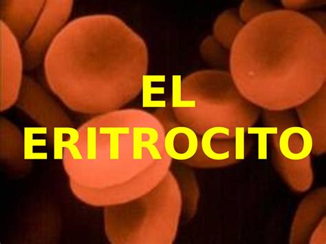 Calaméo Dra Aguilar Aci Cap 2 El Eritrocito