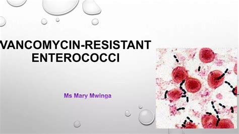 Vancomycin Resistant Enterococci Pptx