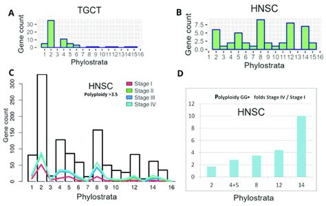 Phylostratigraphy Analysis Of Gg Genes Differentially Expressed In