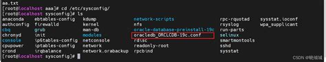 linux操作系统下oracle 19c数据库的安装及常见问题的处理 linux 安装19c oracle 连接不上 csdn博客