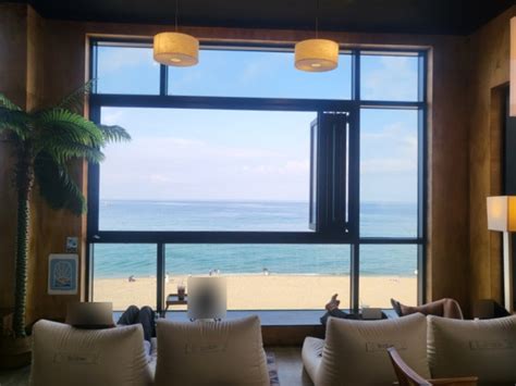 강원강릉 안목 해변 강릉 신상 카페 발리 코코넛 네이버 블로그