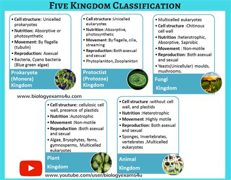 Five Kingdom Classification Monera Five Kingdom Classification Monera