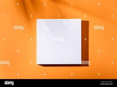 Empty Square Podium With Tropical Palm Tree Shadow Background Orange