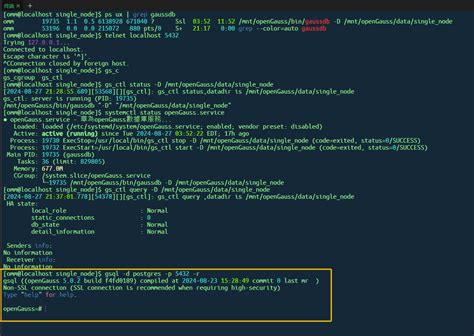 opengauss进程状态还能这么看，长见识了！果断收藏备用！ ps ux grep gaussdb csdn博客