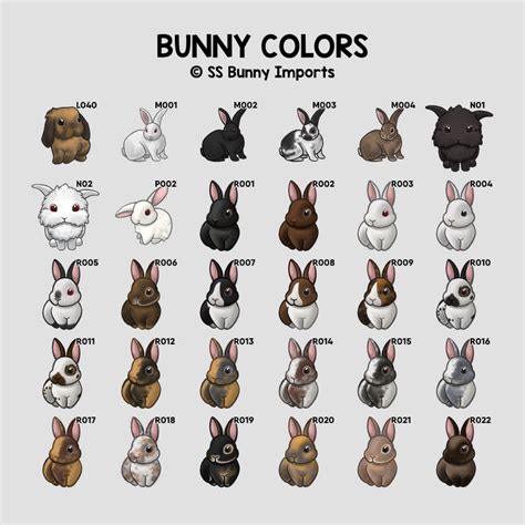 Custom Bunny Tags Set Of 2 Existing Rabbit Designs Custom Bunny
