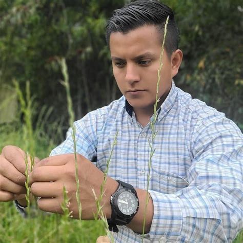 Asi Funciona Postaje De Material Orgánico Materiaorgánica