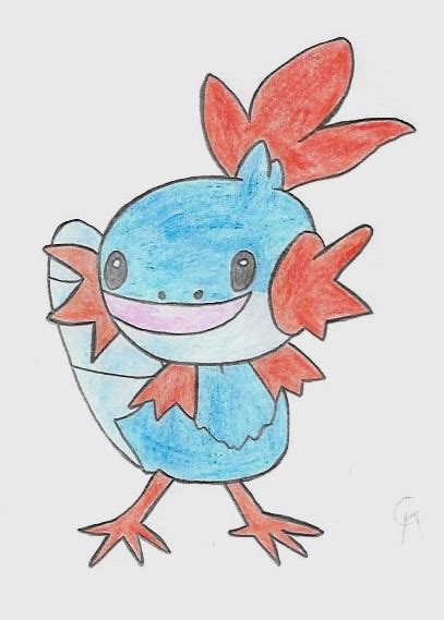 Torchic Mudkip Infinite Fusion By Confusedkangaroo On Deviantart