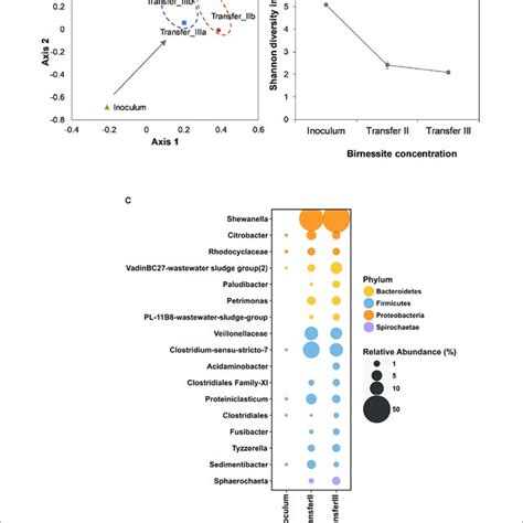 Model Of Glass Dissolution Based On A Dissolution Reprecipitation