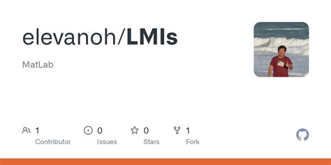 github elevanoh lmis matlab