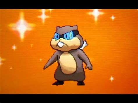Live Shiny Patrat Hatched After 165 Eggs On Pokemon X Youtube