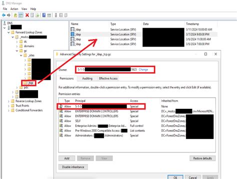 Active Directory Dns Ldap Srv Record Owner Is An Unknown Account