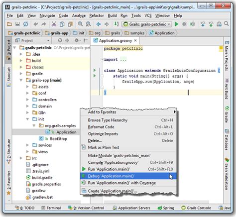 调试grails 3应用程序w3cschool