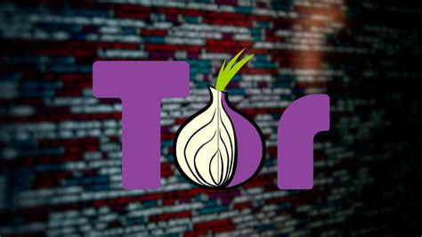 Is It A Good Idea To Use The Tor Browser To Connect To Public Wi Fi This You Should Know Gearrice
