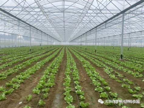 【项目精选】066期：北京农学院精选科技成果推介 知乎