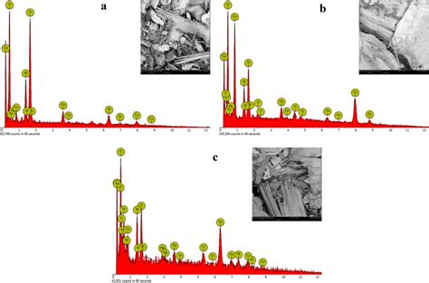 Sem Micrographs And Semi Quantitative Analysis By Energy Dispersive Download Scientific Diagram