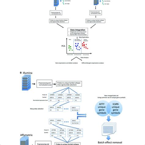 A Overview Of The Data Integration Process And Analysis B Download Scientific Diagram