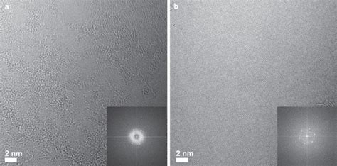 Direct Visualization Of Ligands On Gold Nanoparticles In A Liquid