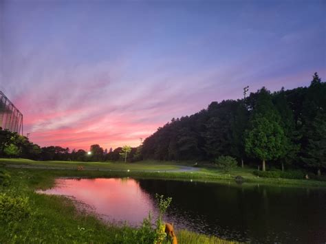 화성 동탄 리베라cc 야간라운딩 후기 체리힐 파인힐 코스정보까지 네이버 블로그