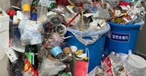 산처럼 쌓인 커피 컵국립대 사범대 쓰레기통 모습 보니
