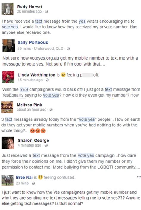 Vote Yes Say Same Sex Marriage Texts Were A Success Daily Mail Online