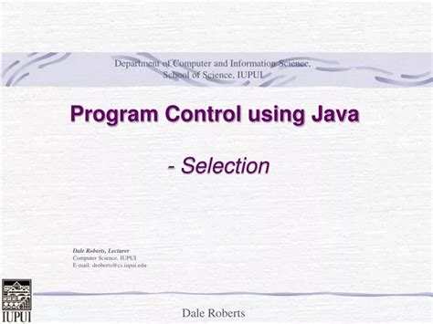 PPT Java Control Structures Guide Learn Selective Programming Statements PowerPoint