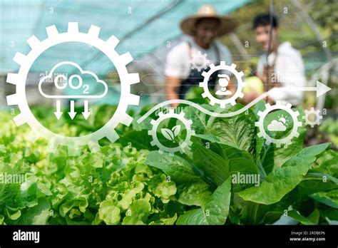 Agriculture Technology Farmer To Research About Agriculture Problems Analysis Data And Visual