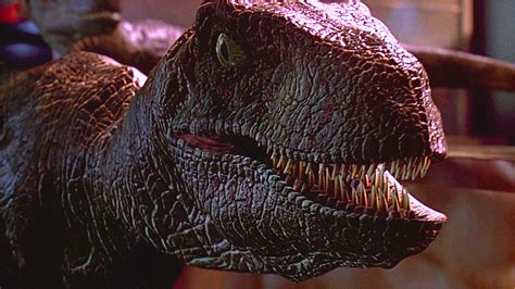 Velociraptor Macho De Jurassic Park 3