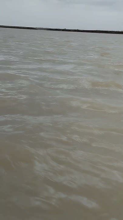 دریا آمو Youtube