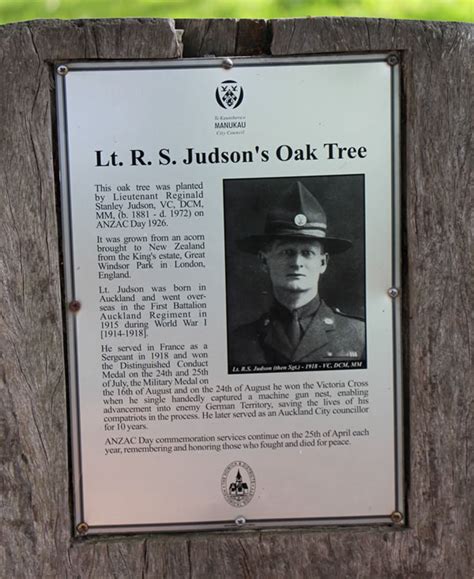 Reginald Judson Memorial Oak Nz History