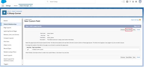 Creating Custom Fields In Salesforce Lightning Platform