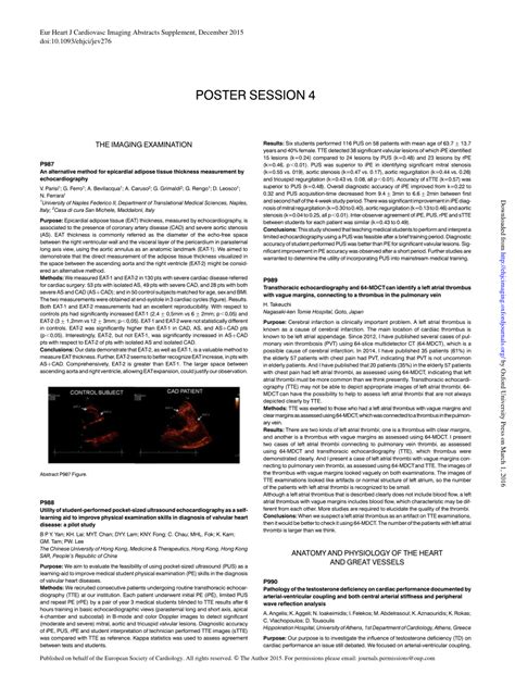 Pdf Intraventricular Flow Analysis During Apical Right Ventricular