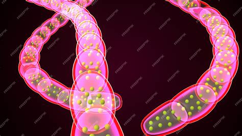 3d Illustration Of Microscopic Filamentous Structure Premium Ai