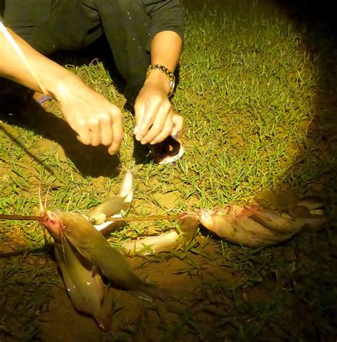 ដាក់នុយភ្លាមស៊ីភ្លាម លេងដល់ខាងកើតម្តងហើយលើកនេះ ដាក់នុយភ្លាមស៊ីភ្លាម លេងដល់ខាងកើតម្តងហើយលើកនេះ