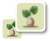 Remove A Border From An Image Online Image Tools
