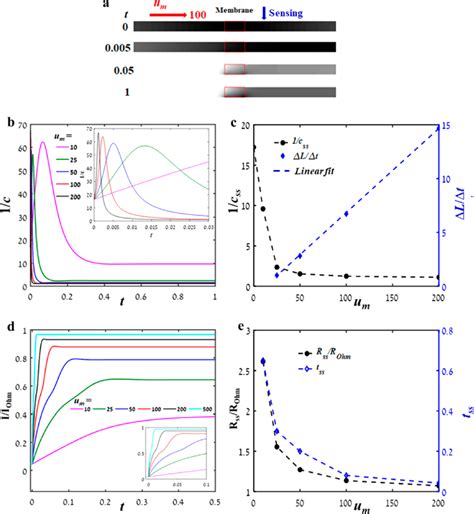 numerical simulations of a stepwise flow under steady state cp v