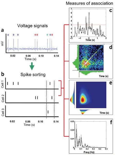 Multiple Neural Spike Train Data Analysis State Of The Art And Future Challenges Nature