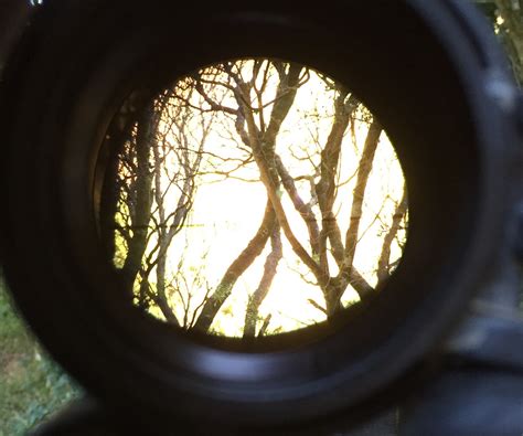 Scope Issue