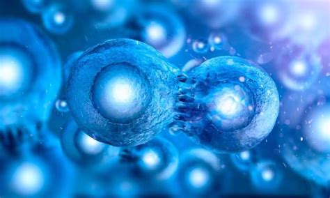 Learn How To Improve Cell Line Development Drug Discovery World Ddw