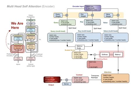 python explanation of dimension of input in a transformer model