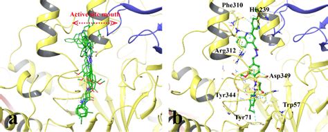 3d Poses Of The Docked Structure Of The Synthesized Compound Over The Download Scientific