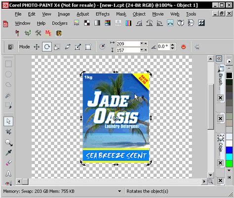 Non Linear Stretch How Can It Be Done Corel PHOTO PAINT X CorelDRAW Graphics Suite X