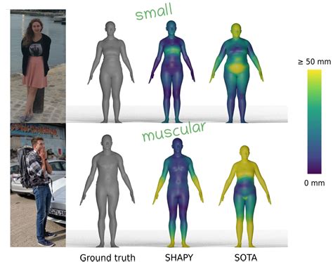 accurate 3d body shape regression using metric and semantic attributes
