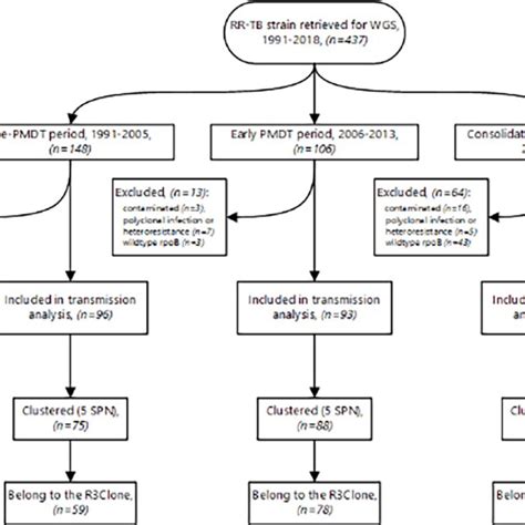 Study Population And Clustering Results Download Scientific Diagram