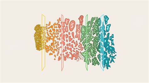 How The Gleason Score Is Key To Understanding Your Prostate Cancer Prognosis