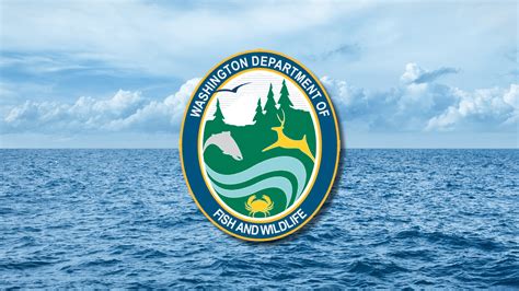 Wdfw Announce 2023 2024 Coastal Steelhead Season Dates And Regulations