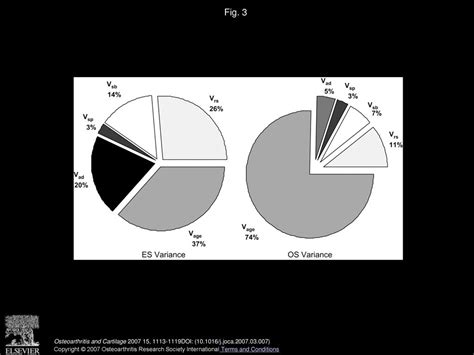 L Kalichman P T Ph D I Malkin Ph D E Kobyliansky Ph D Ppt Download