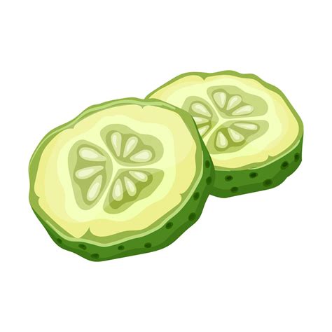 Cucumber Slice Cartoon Vector Illustration 17588488 Vector Art At Vecteezy