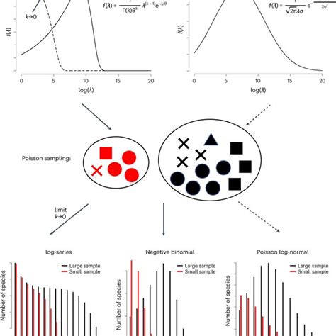 Conceptual Scheme Illustrating The Poisson Sampling Of A Community With Download Scientific